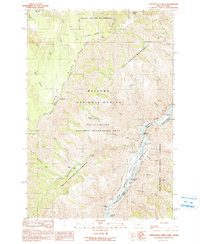 Hi-Res Interactive Map of Temperance Creek, Wallowa County, OR in 1990 | Pastmaps